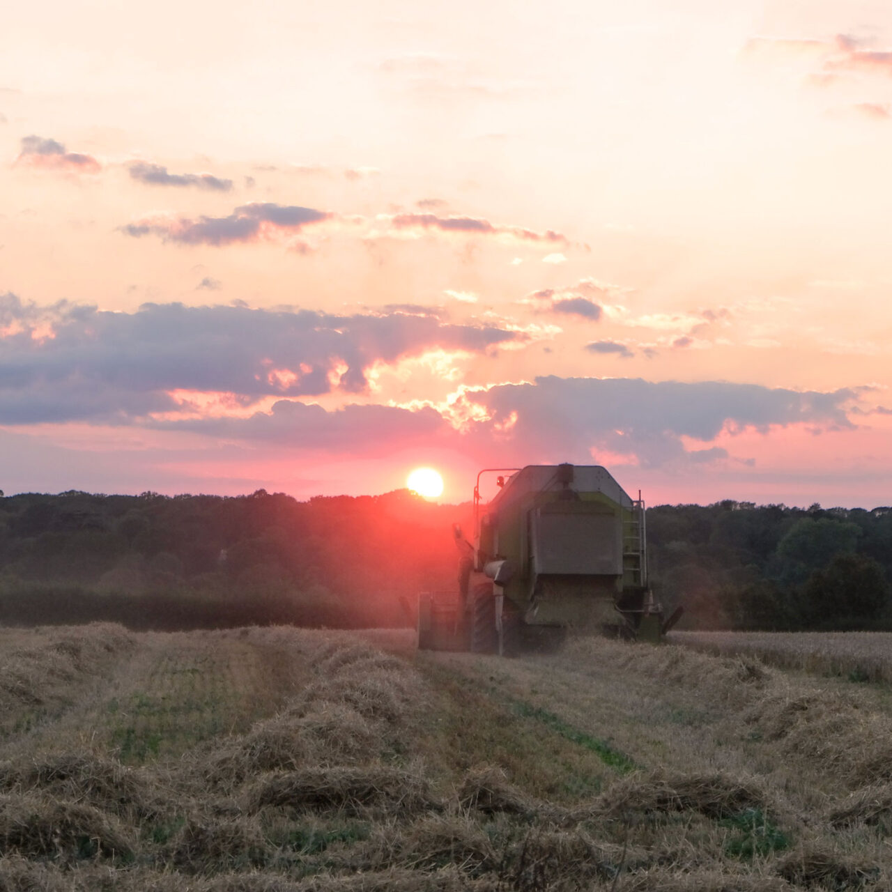 Blyth Family Vision and Ethos | Friday Street Farm | Suffolk